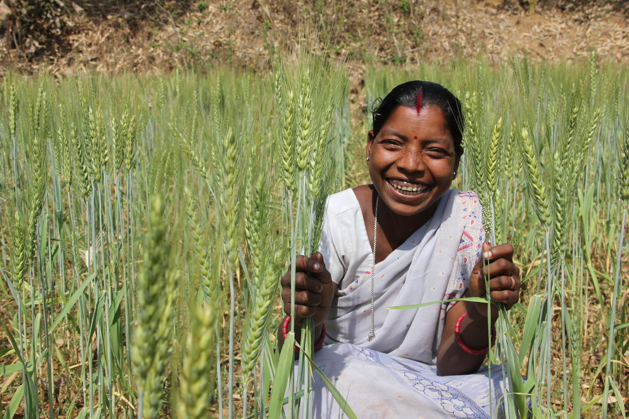 Lenten Offering Resources | Lutheran World Relief