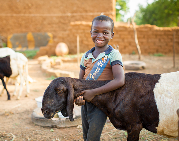 Donate a Sheep | Lutheran World Relief